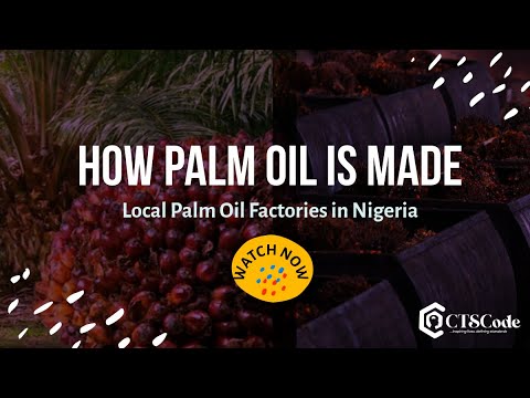 Palm Oil Making Process - How Palm Oil is Extracted in the Factory ...