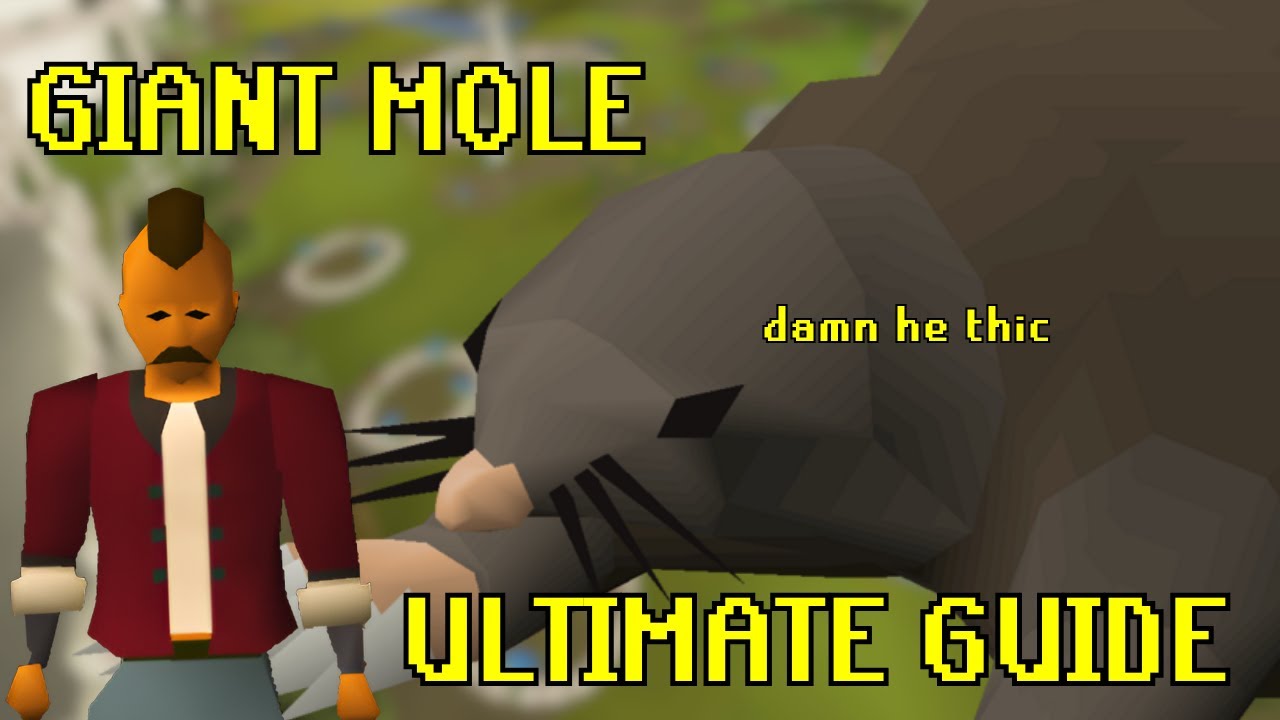 OSRS Giant Mole Ultimate Quick Guide for Noobs, Pet hunters, and MORE ...