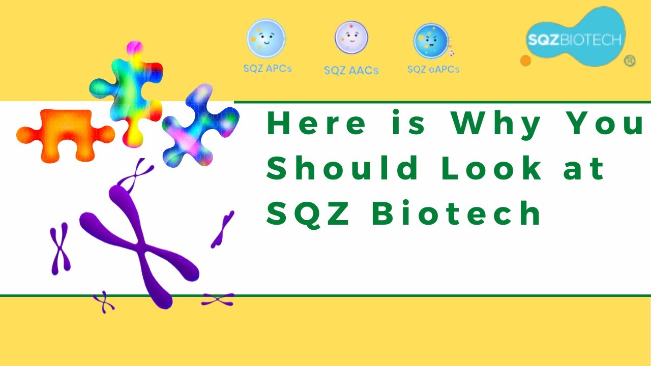 Should you buy SQZ Biotech stock? We take a first look at this company ...