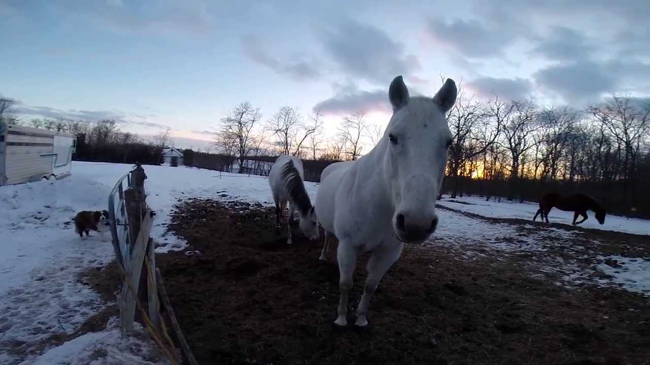 Go Pro Testing 1 - YouTube