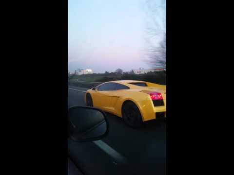 Ferrari ve lombarghini