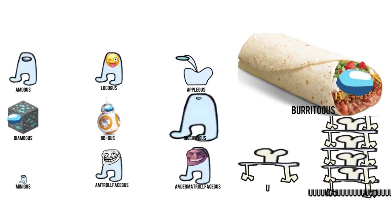 Different types of amogus - YouTube