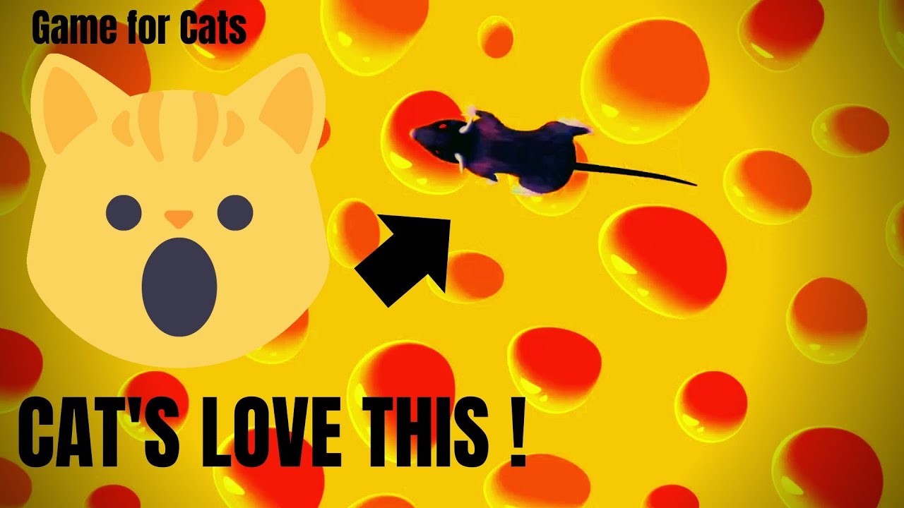 CAT GAMES - 🐀 Catch the Rat, Cheese Version. Entertainment Video for ...