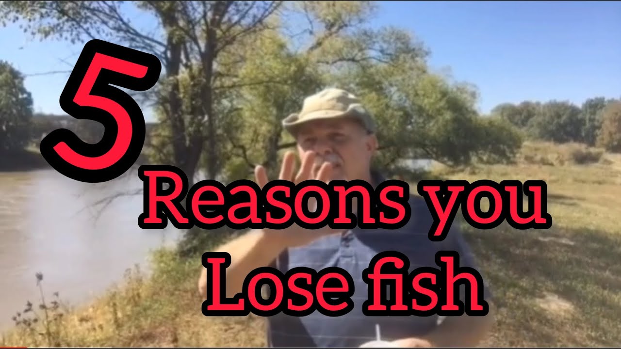 5 reasons you lose fish - YouTube