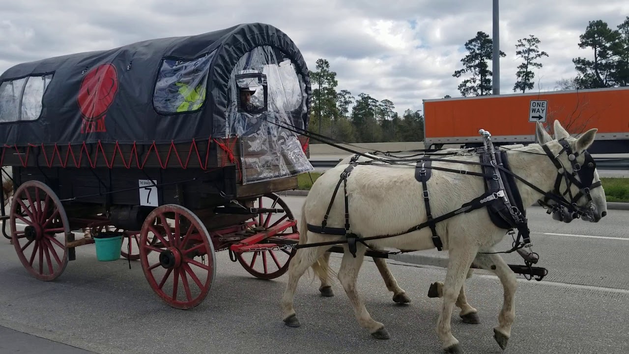 Houston Rodeo Trail Riders on Eastex - YouTube