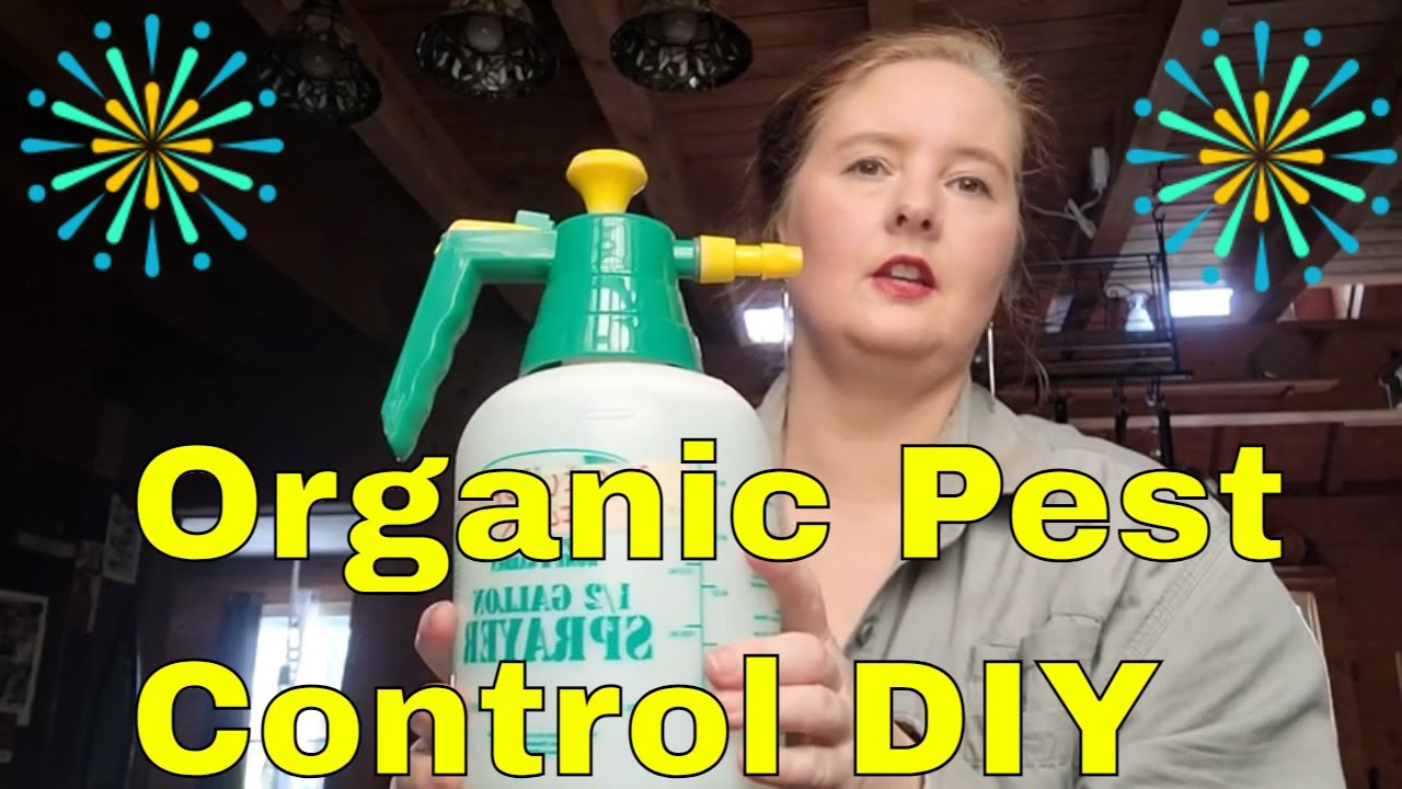 Organic pest control diy - YouTube