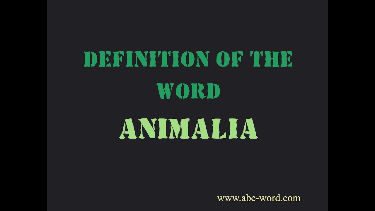 Definition of the word "Animalia" - YouTube
