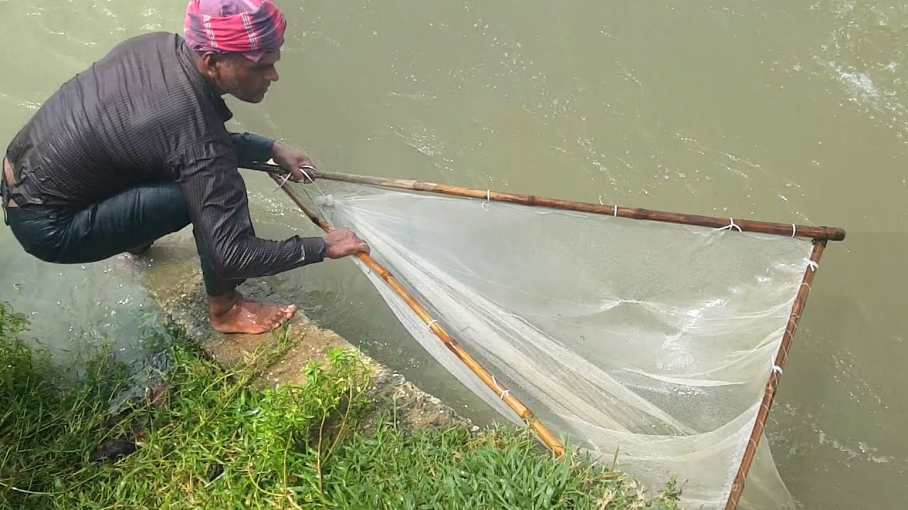 Fishing in flood water - Best fishing view - YouTube