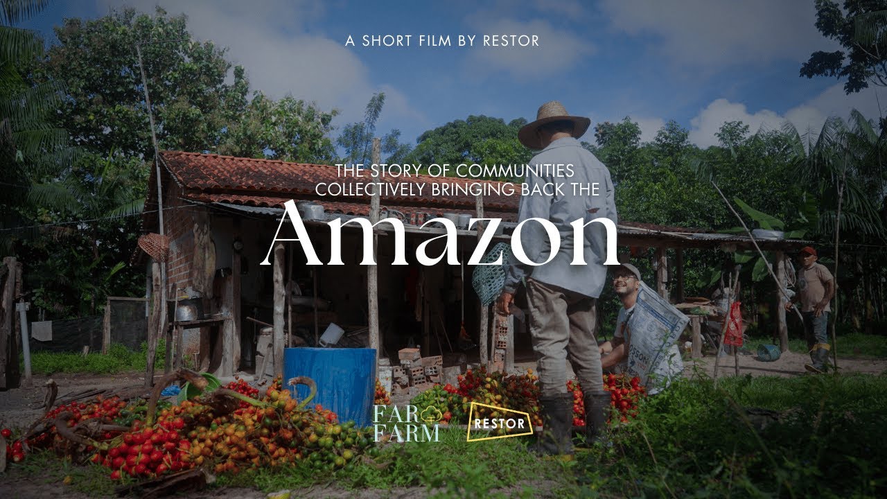 Communities Collectively Bringing Back the Amazon | A Restor Story ...