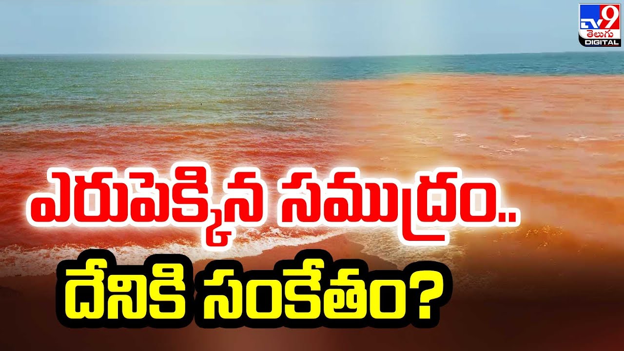 Viral : ఎరుపెక్కిన సముద్రం..దేనికి సంకేతం? | Sea water turn red near ...