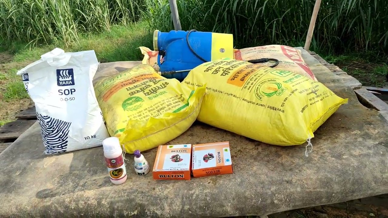 Yara Sop 0 0 50 Fertilizer Potassium YouTube Yara Sop 0 0 50 Fertilizer Potassium YouTube
