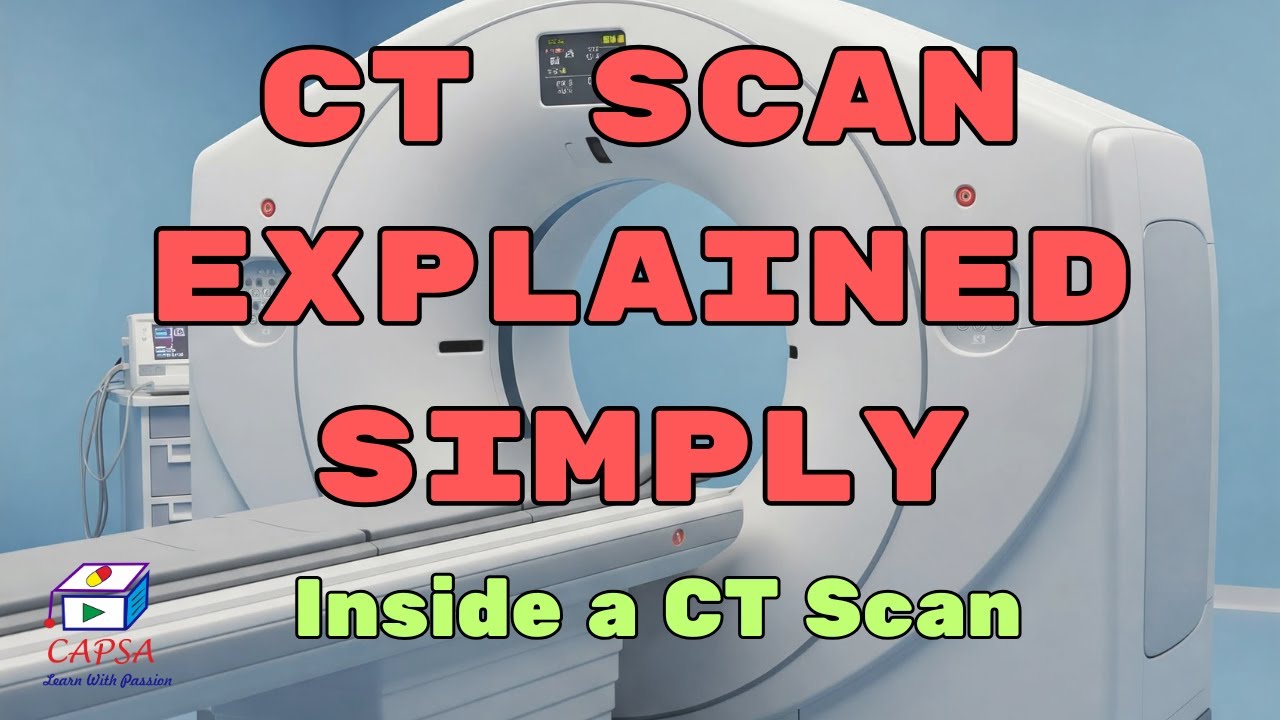 Comprehensive Guide to CT Scans: Understanding Types, Procedures ...