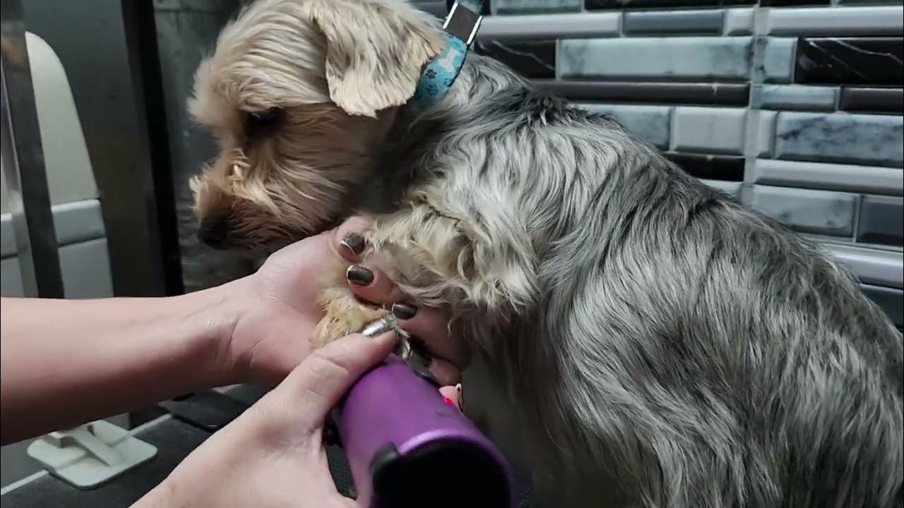 Qc trimming pad - YouTube