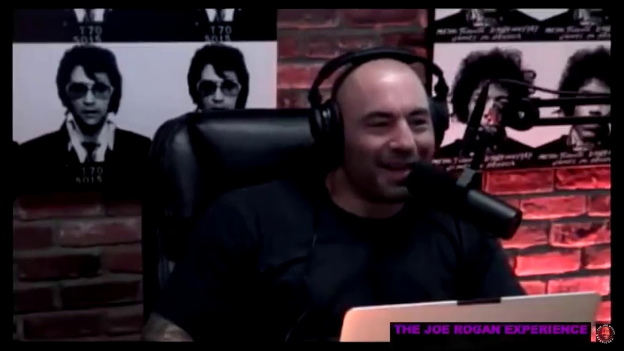 Joe Rogan & Louis Theroux talk Irish Gypsy callouts - YouTube