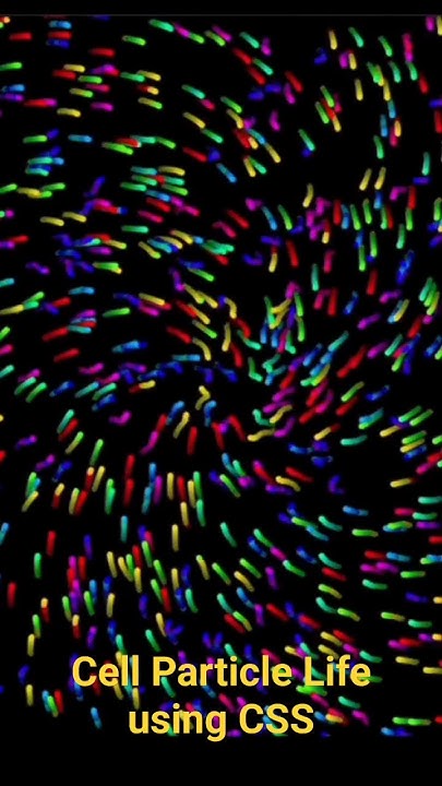 How To Learn Programming For Beginners Cell Particle Life Using Css