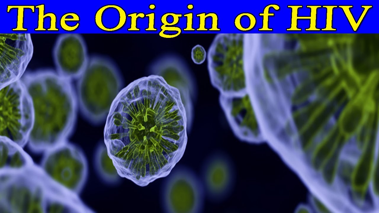 The Origin of HIV: How It Crossed from Animals to Humans - YouTube