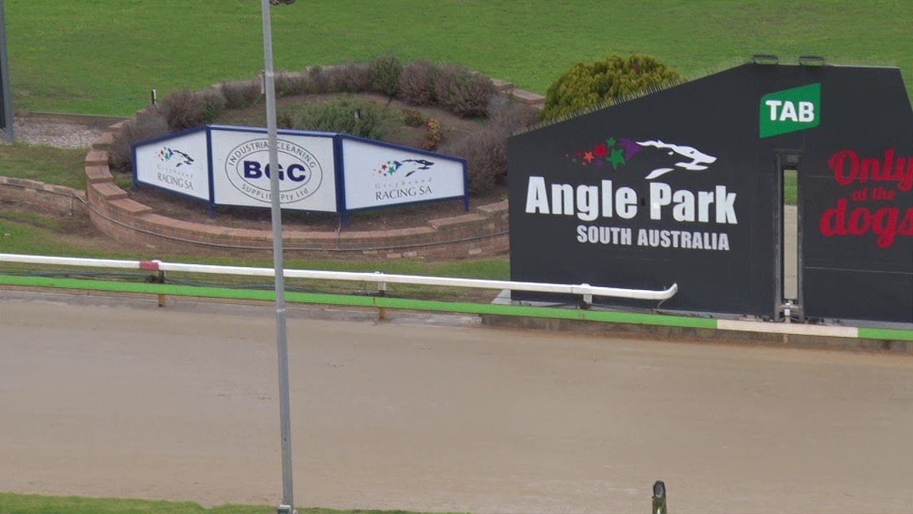 Angle-Park-13052020-Race-1 - YouTube