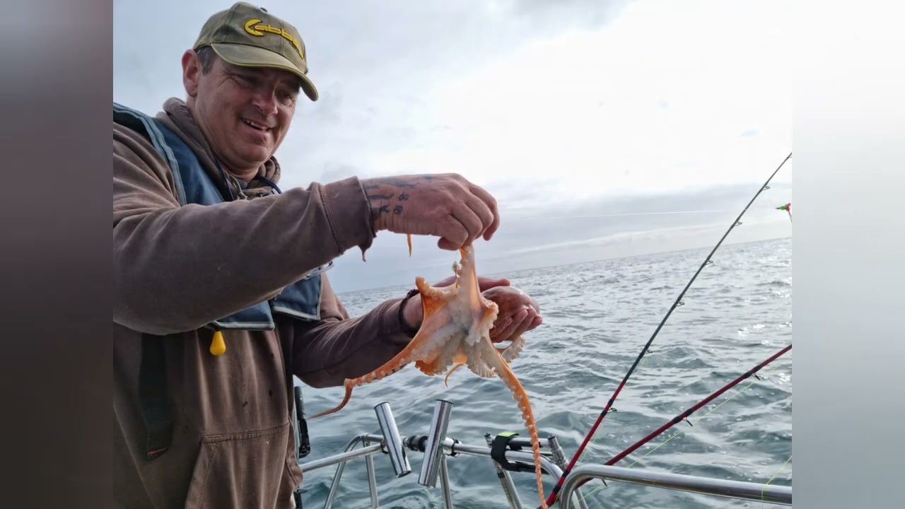 Codling Bullhuss Octopus and more beach and boat - YouTube