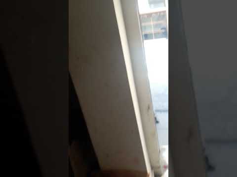 Kan fışkıran çocuk