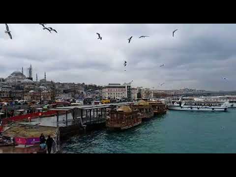 Salih Kevirbirî - Gula min gula zer e