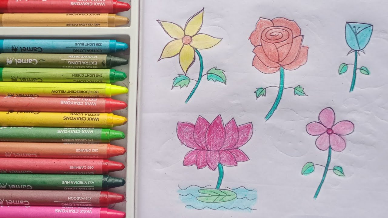 How to draw different flowers drawing for kids step by step drawing ...