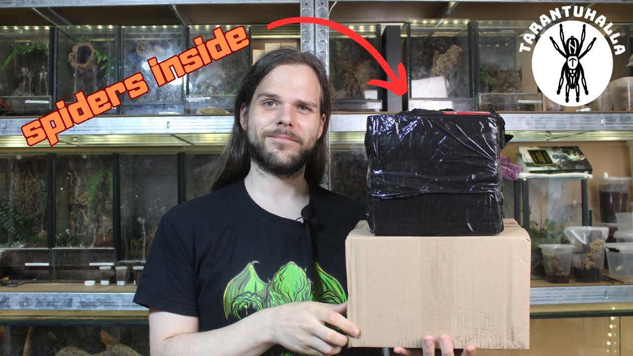 Spider mail gone wrong... - YouTube