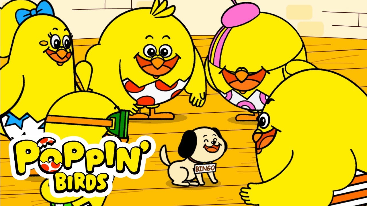 BINGO / POPPIN' BIRDS - YouTube