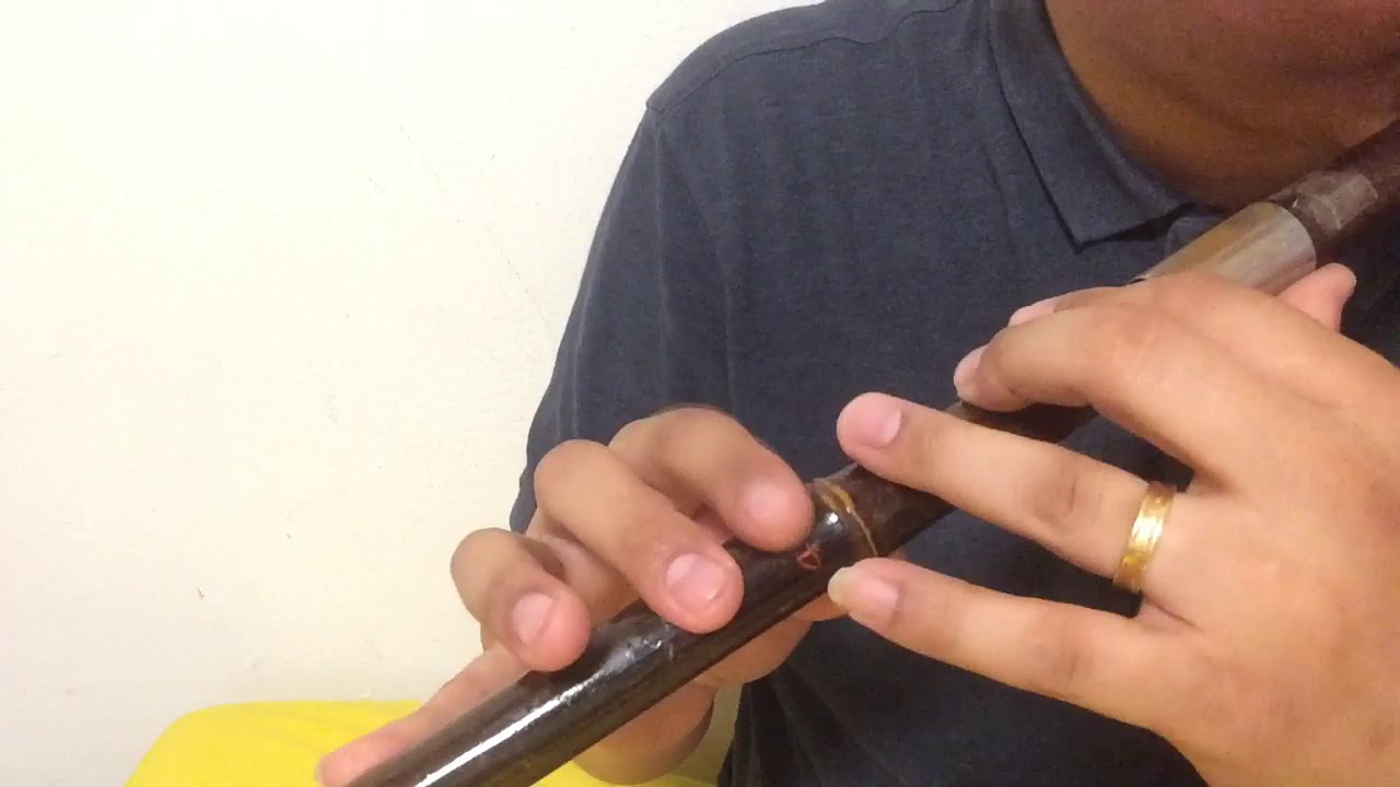 Tibetan Amdo Circle Dance on Dizi ( Lingbu) ཨ་མདོའི་སྐོར་འབྲོ། ༼འཕྲེད ...