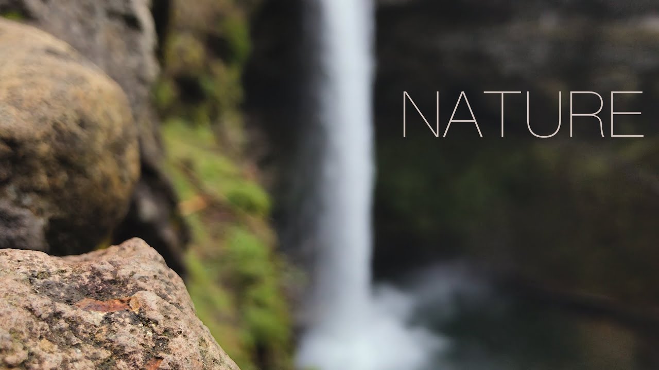 NATURE - YouTube