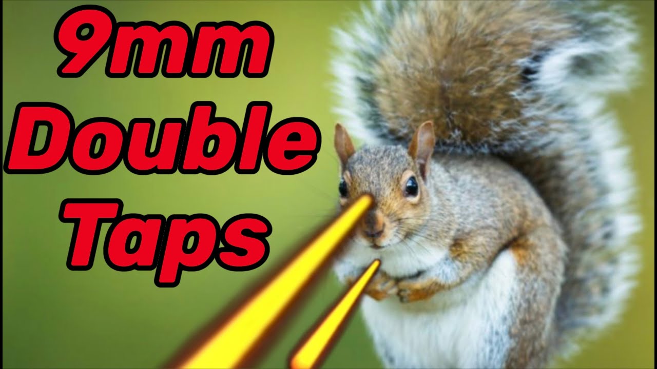 Squirrel Pest Control with a 9mm? (Part 1) - YouTube