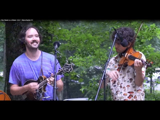 Andrew Marlin "The Hawk is a Mule" 7/25/21 Billsville House Concerts ...