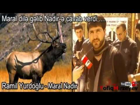 Nadire verilen cavab. Maral dile geldi.