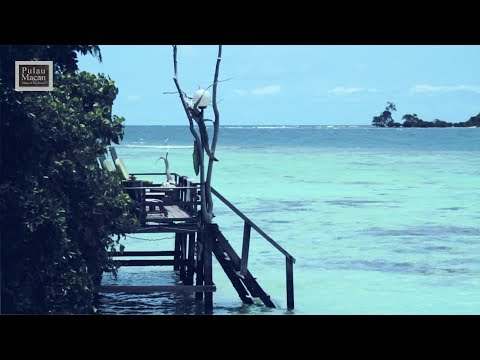 Pulau Macan - Paradise on Jakarta's Doorstep