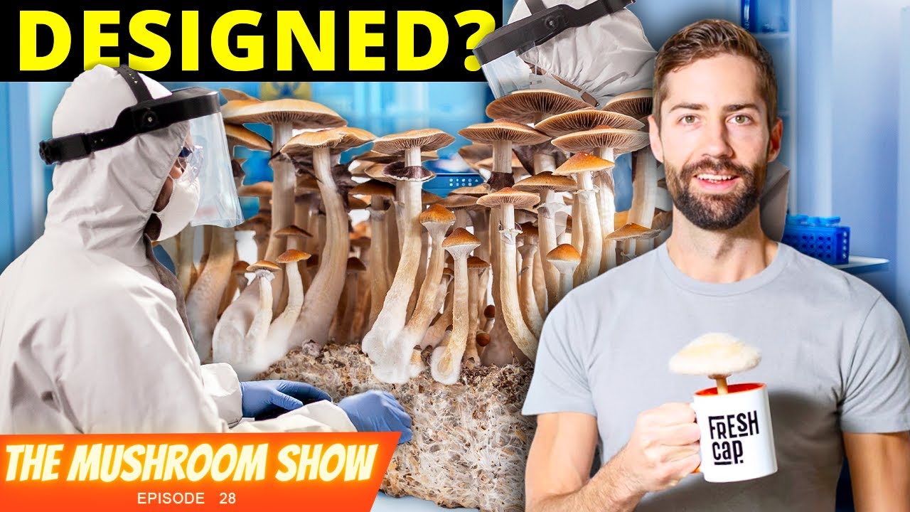 Will New Genetic Discoveries Lead To "Designer Shrooms"? (The Mushroom ...