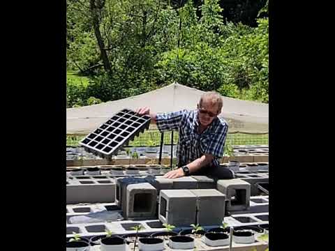 Rootmaker Trays @Pawpaw Chronicles -N- More with Jim - YouTube