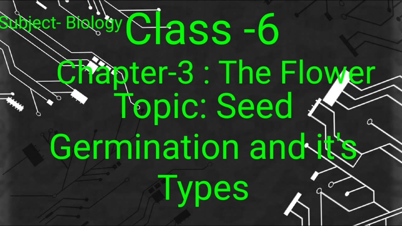 Chapter-3: The flower[ Subj-biology],Class 6: Topic: Seed germination ...