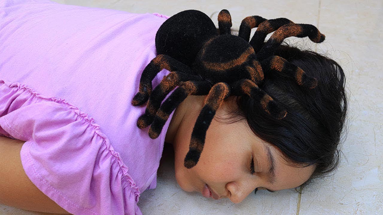 العنكبوت لدغ شفا !أفضل مجموعة فيديوهات مسلية !funny collection Spider ...