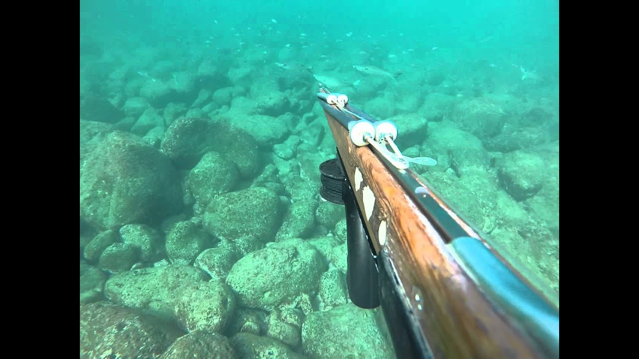 20150907-[Korean Mono Spearo] : Jeju Island Spearfishing [Gray Mullet-4 ...