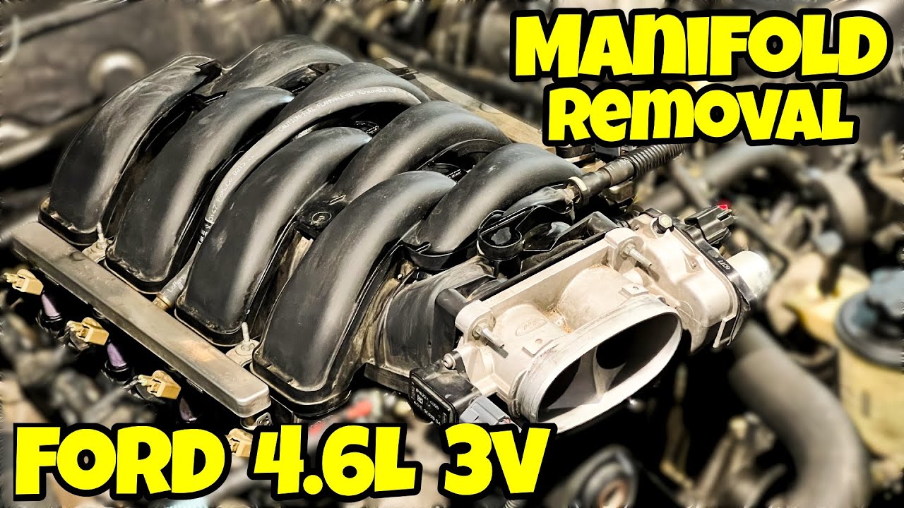 How-To: Intake Manifold 4.6L Ford V8 - YouTube