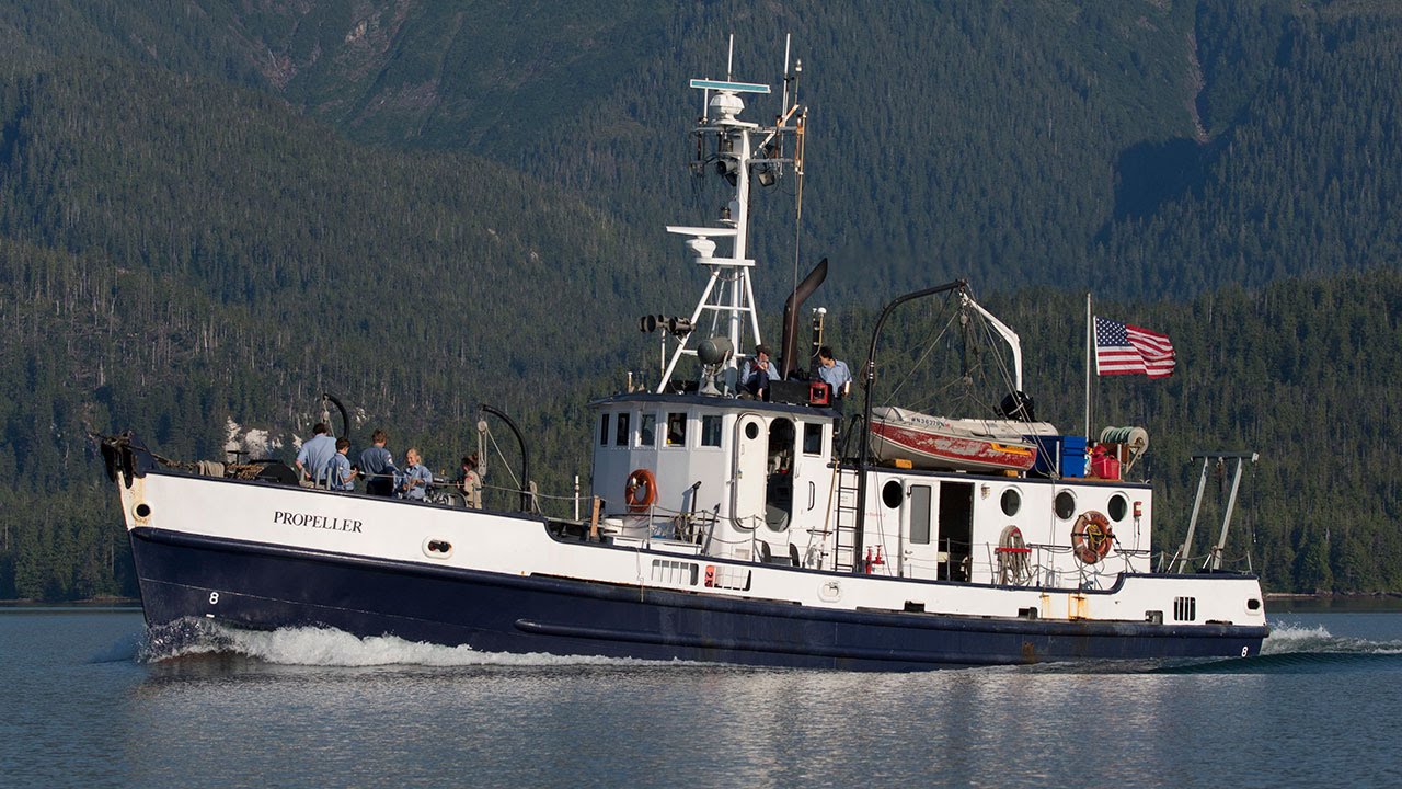 Sea Scouts Take Three week Cruise To Alaska YouTube sea-scouts-take-three-week-cruise-to-alaska-youtube