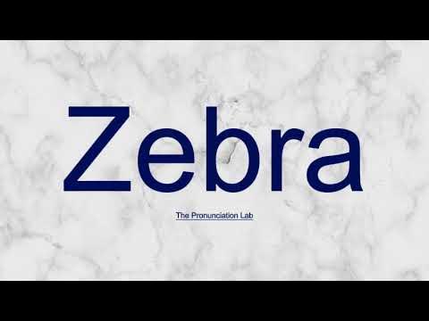 Zebra Pronunciation: How to Pronounce Zebra | Clear and Accurate ...