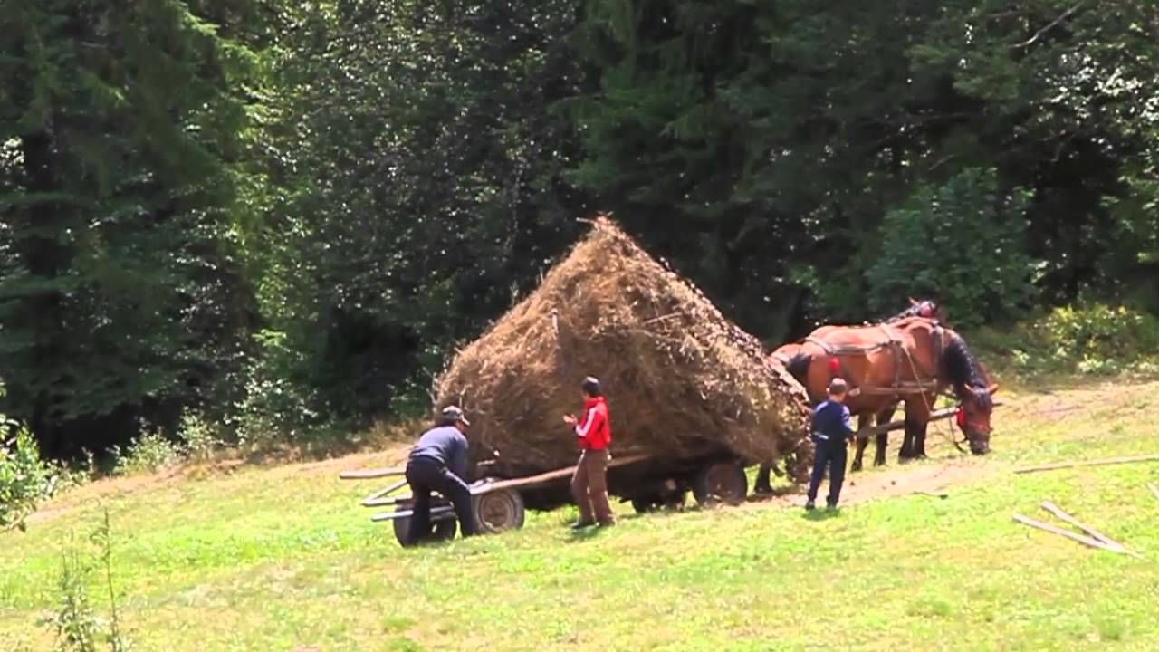 Cum se incarca rapid o capita de fan!!!! - YouTube