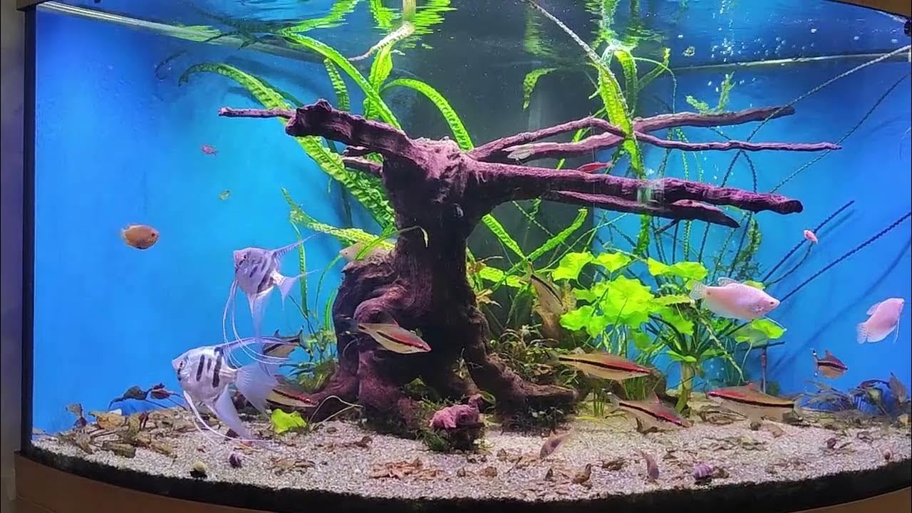 Самая лучшая насадка на фильтр для рассеивания потока и аэрации - YouTube