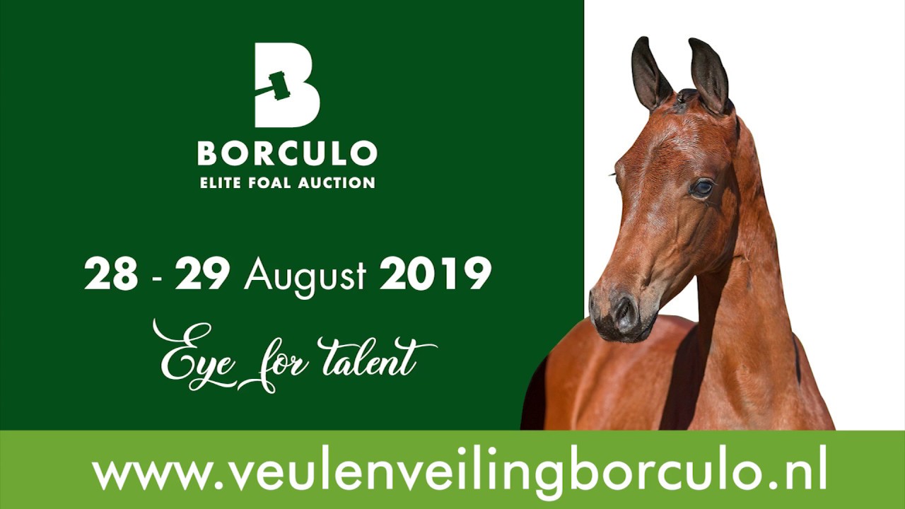 2019 collection | 47. Tavi Z (Tobago Z x Chellano Z) Colt/Hengst - YouTube