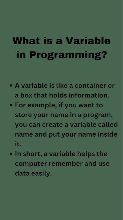 What is a Variable in Programming? | Explained in Seconds #Techinfolearning - YouTube