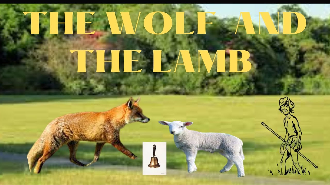 the-wolf-and-the-lamb-youtube