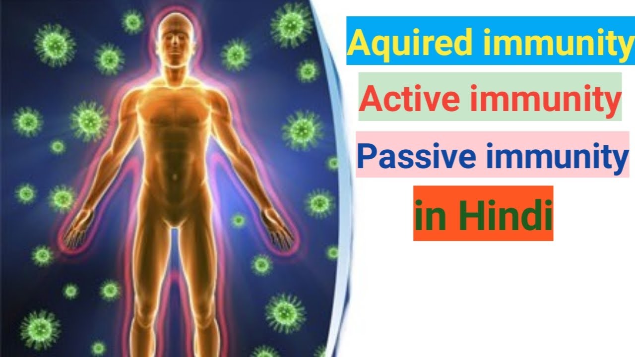 Active And Passive Humoral Immunity