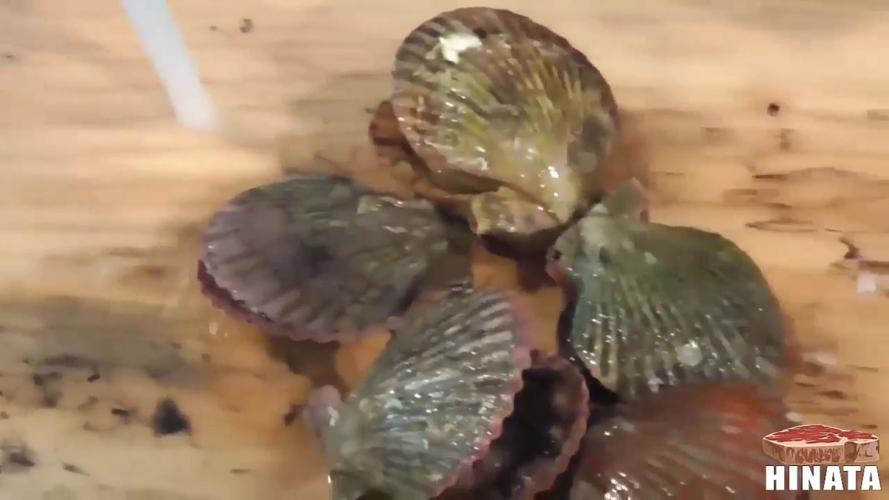 How To Clean And Open Scallops Amazing Cooking Skills - YouTube