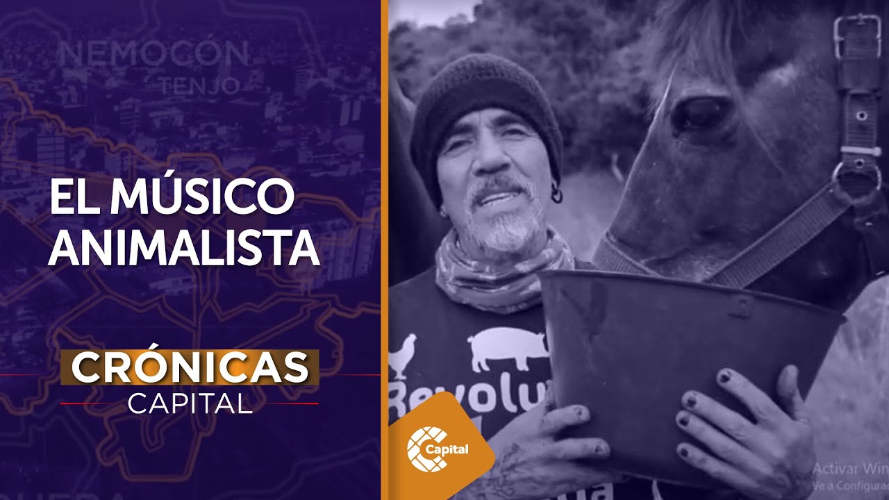 Chucho Merchán, el músico defensor de los animales | Crónicas Capital ...