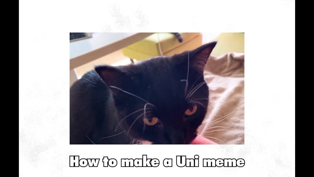 How to make a Uni meme - YouTube
